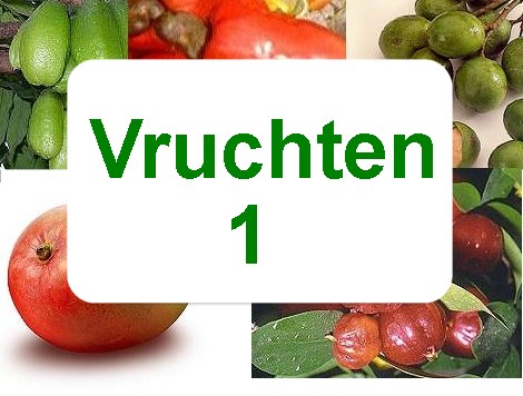 Vruchten - Kwis Anda Suriname quiz